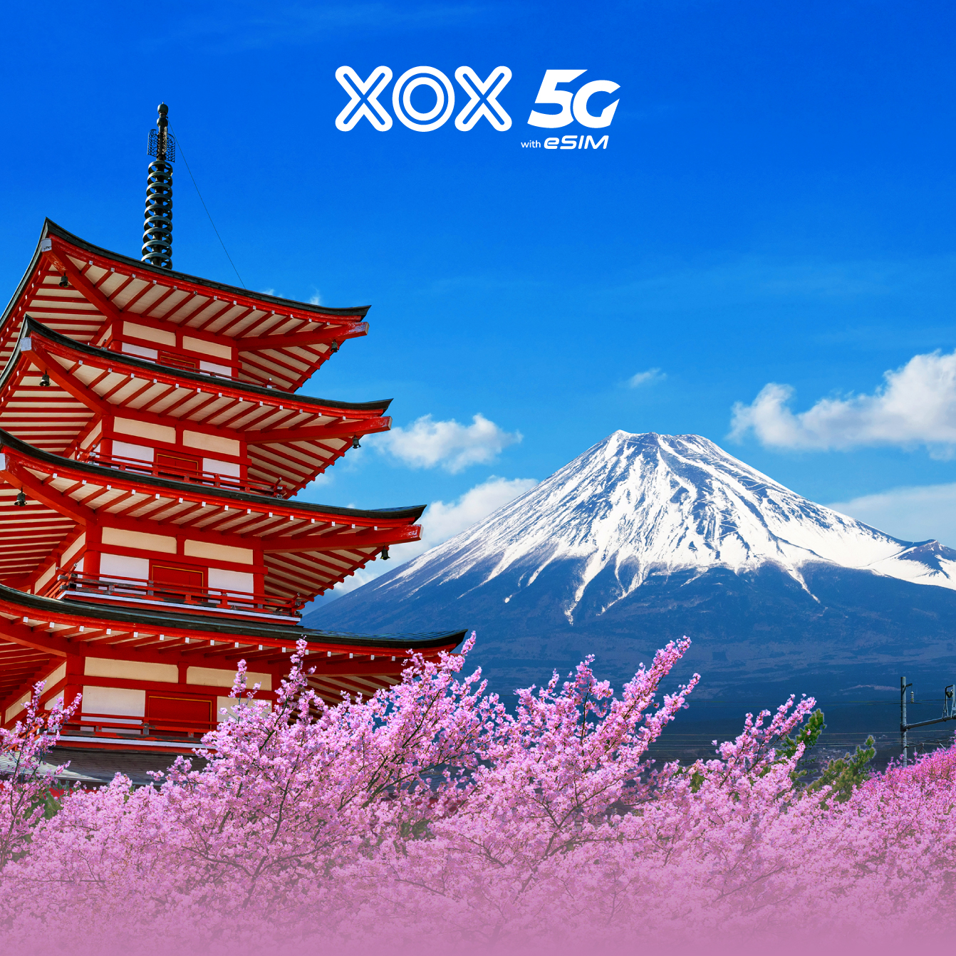 XOX 5G Online Store